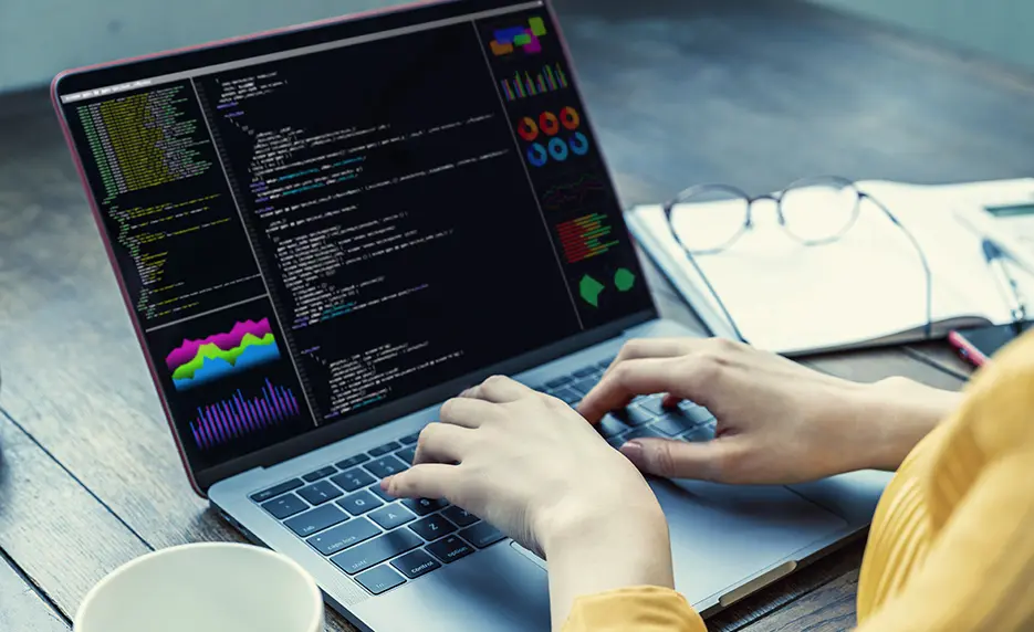 Java Programmer + Python Developer